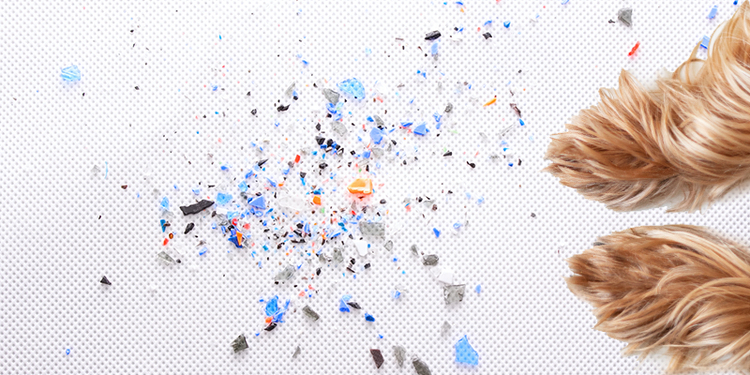 Microplastics in Dogs: How to Protect Your Dog from Hidden Toxins ...