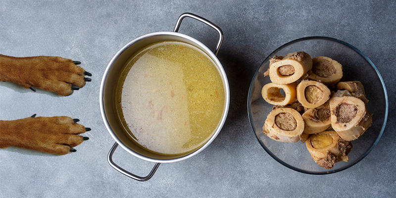 Building a Balanced Gut: Holistic Approaches to Dog Digestive Health ...