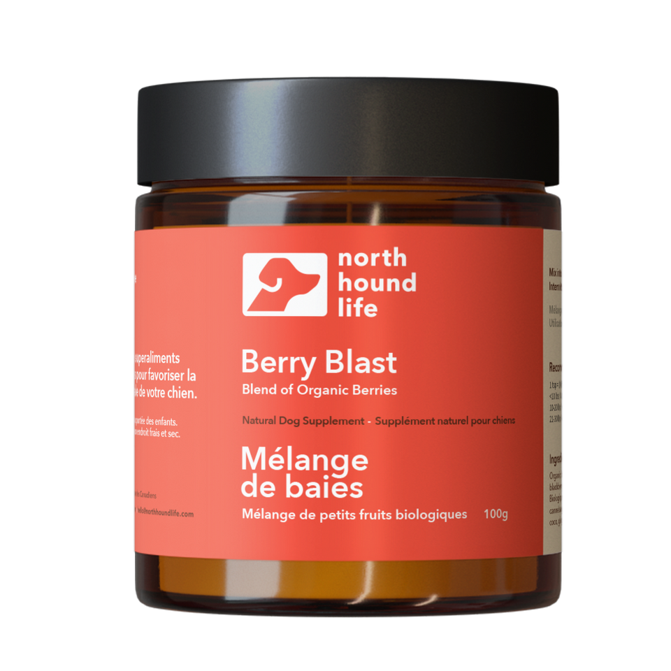 Berry Blast | Superfood Berries for Dogs | north hound life – North ...