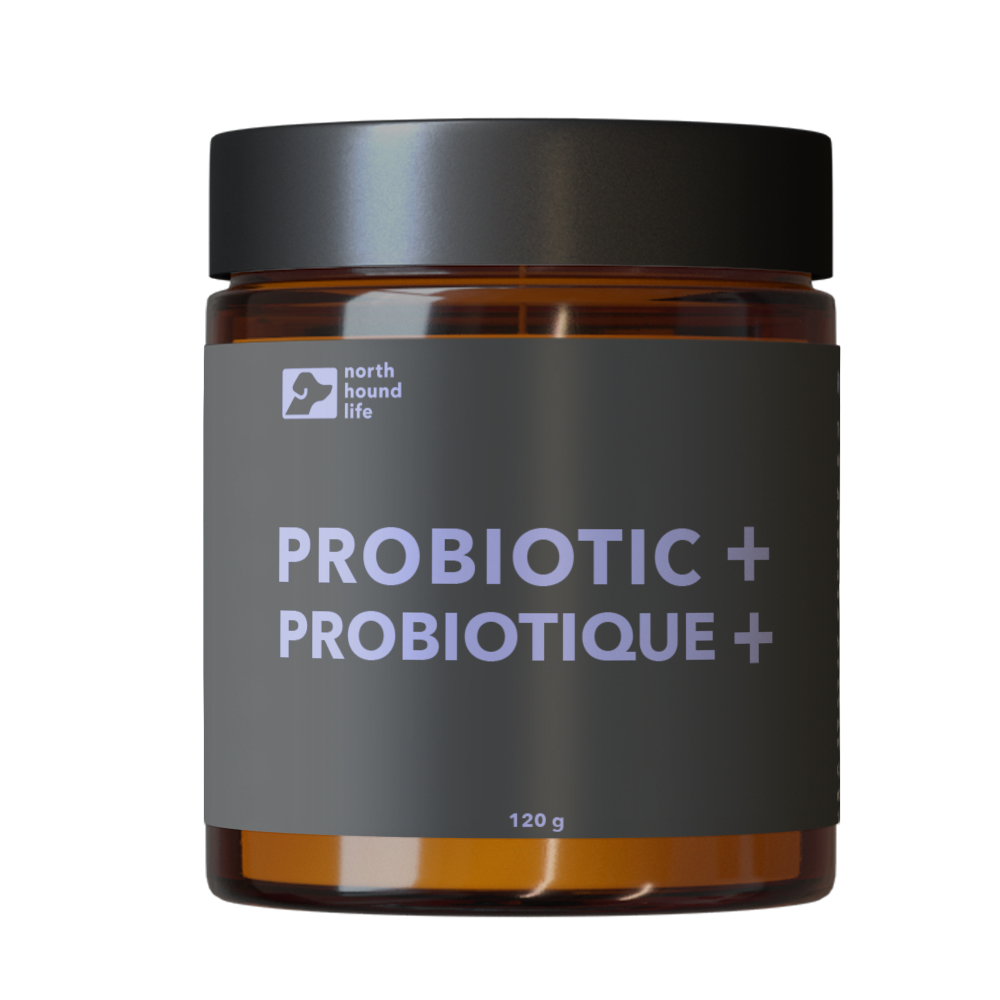 Probiotic+ | Canine-Specific Probiotic for Dogs | north hound life ...