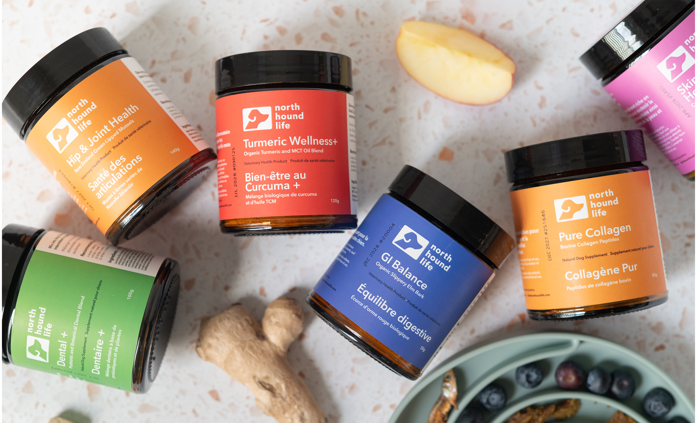 2026 International Womens Day – North Hound Life