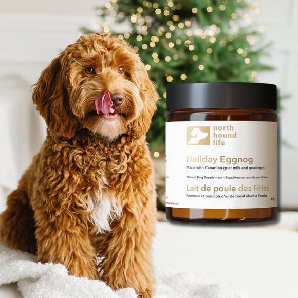 🎄 How to Make Christmas Dog Bark (3 Easy Holiday Recipes!) – North ...