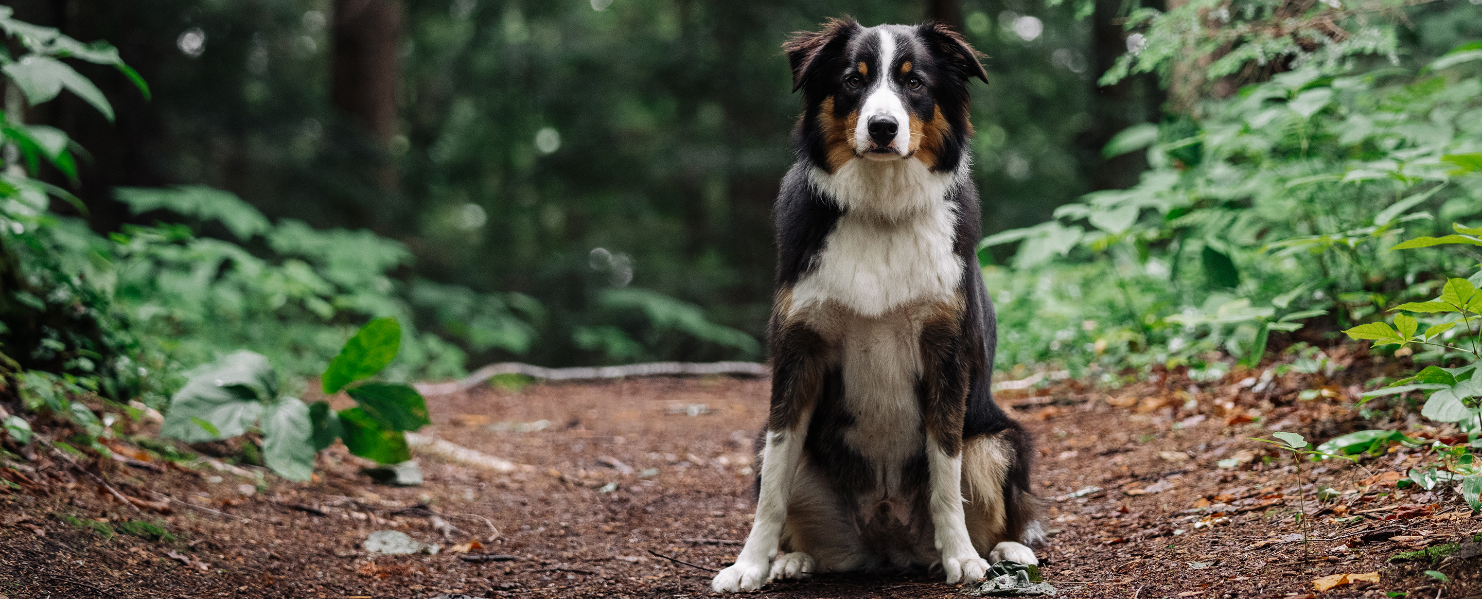 2026 International Womens Day – North Hound Life