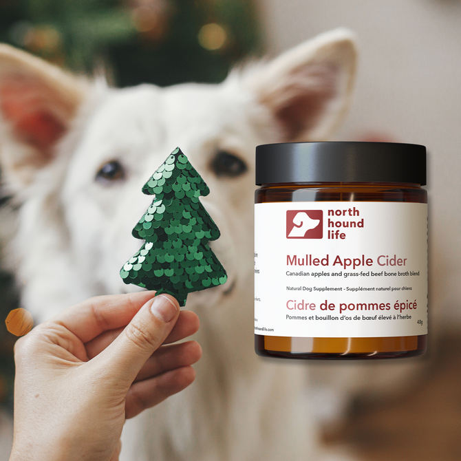 7 Essential Good Probiotic For Dogs Picks in 2026 – North Hound Life