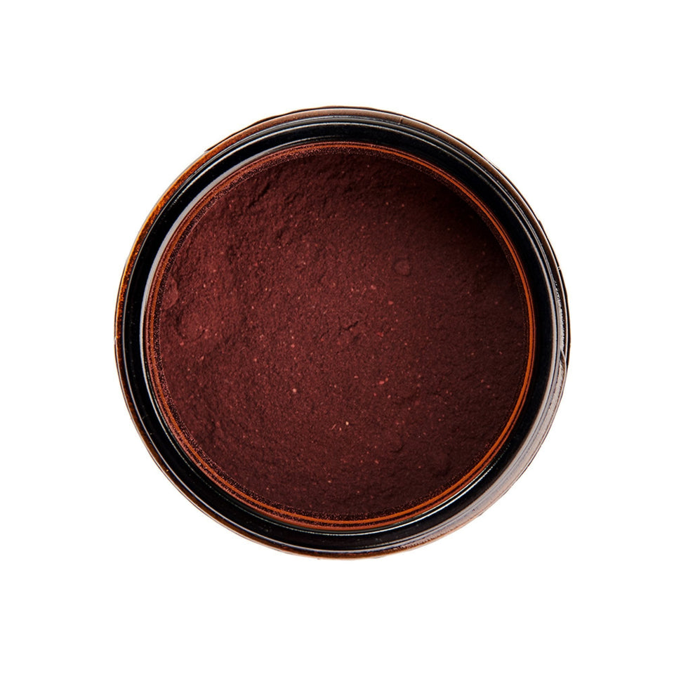 Chaga Mushroom & Blueberry For Dogs | Natural Supplement | North Hound ...